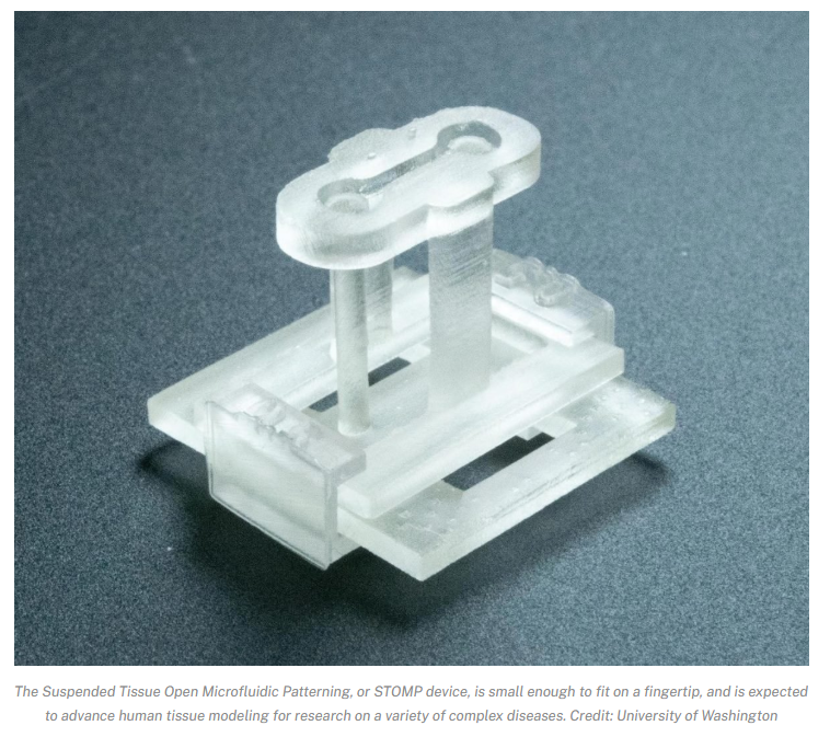 UW researchers develop a 3D-printed device that builds human tissue ...