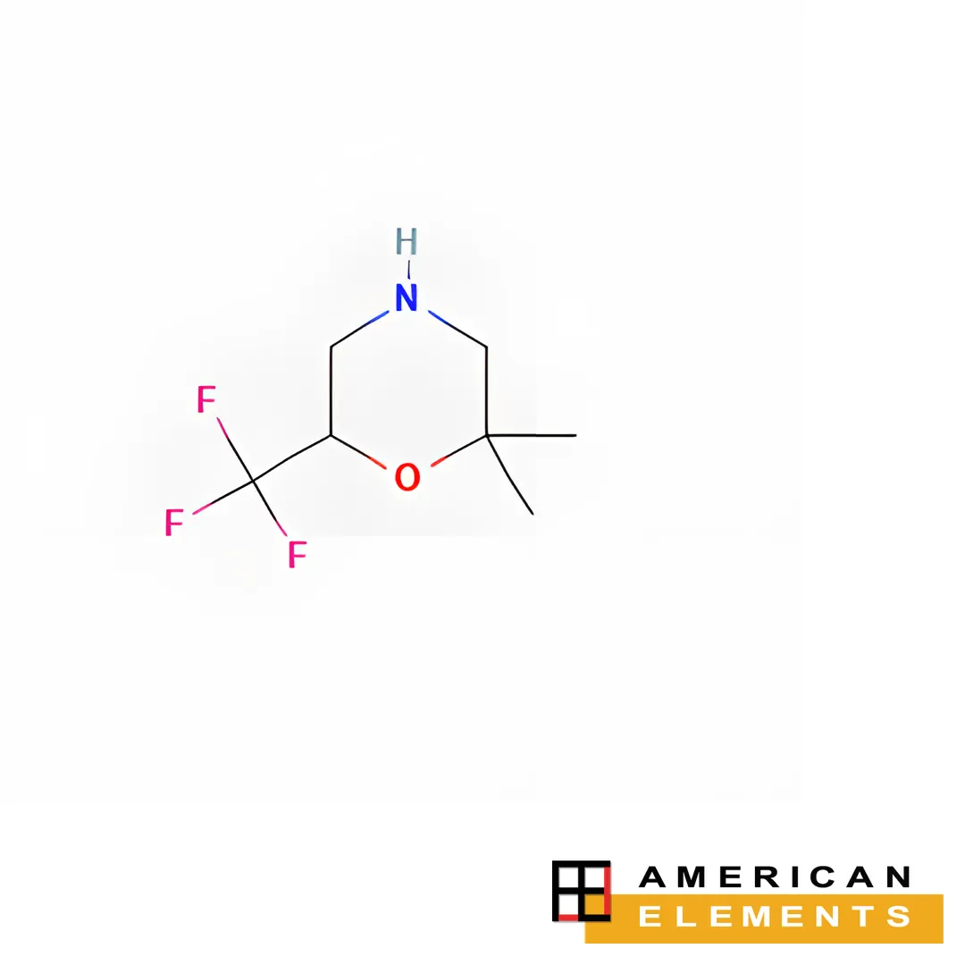 2,2-dimethyl-6-(trifluoromethyl)morpholine | CAS 1478030-16-8 ...
